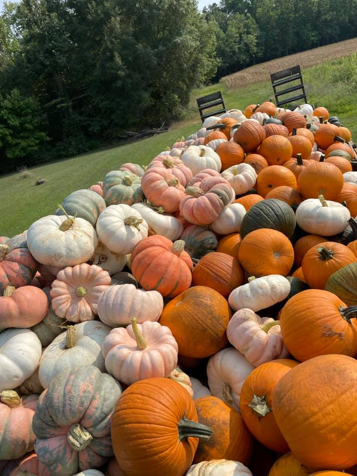 Fall is In Season Around Stokes County, North Carolina - Destination ...