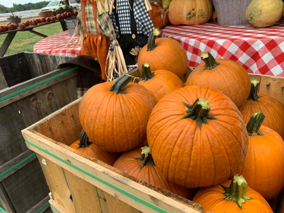 Fall is In Season Around Stokes County, North Carolina - Destination ...